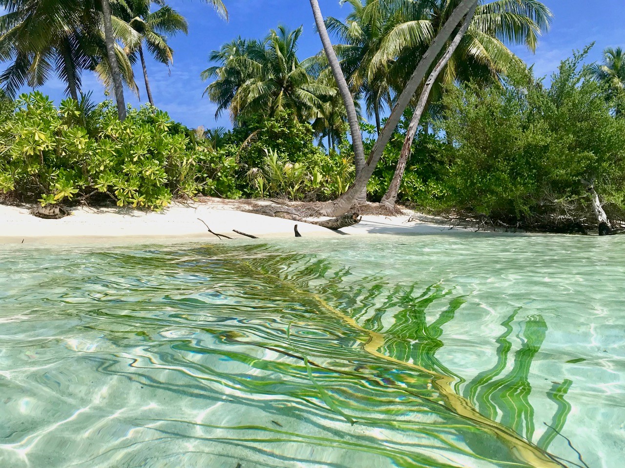 White Maakanaa Lodge - Maldive, villaggio di Keyodhoo, Atollo di Felidhoo