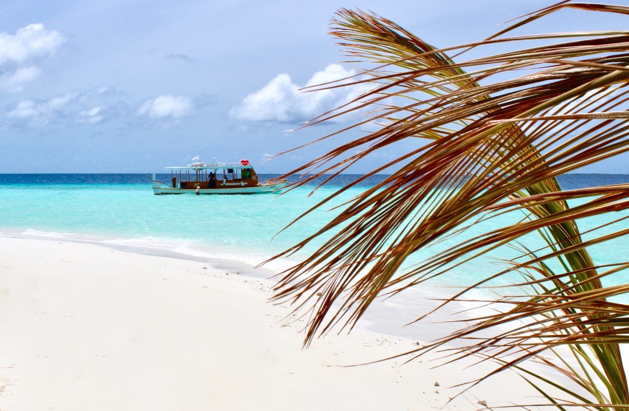 Escursioni - White Maakanaa Lodge