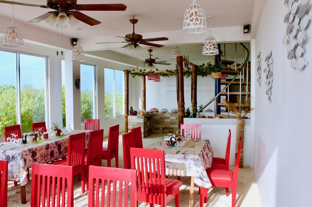 The Restaurant - White Maakanaa Lodge